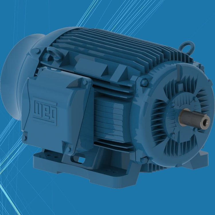 Weg Electric Motors – Caldwell Electric